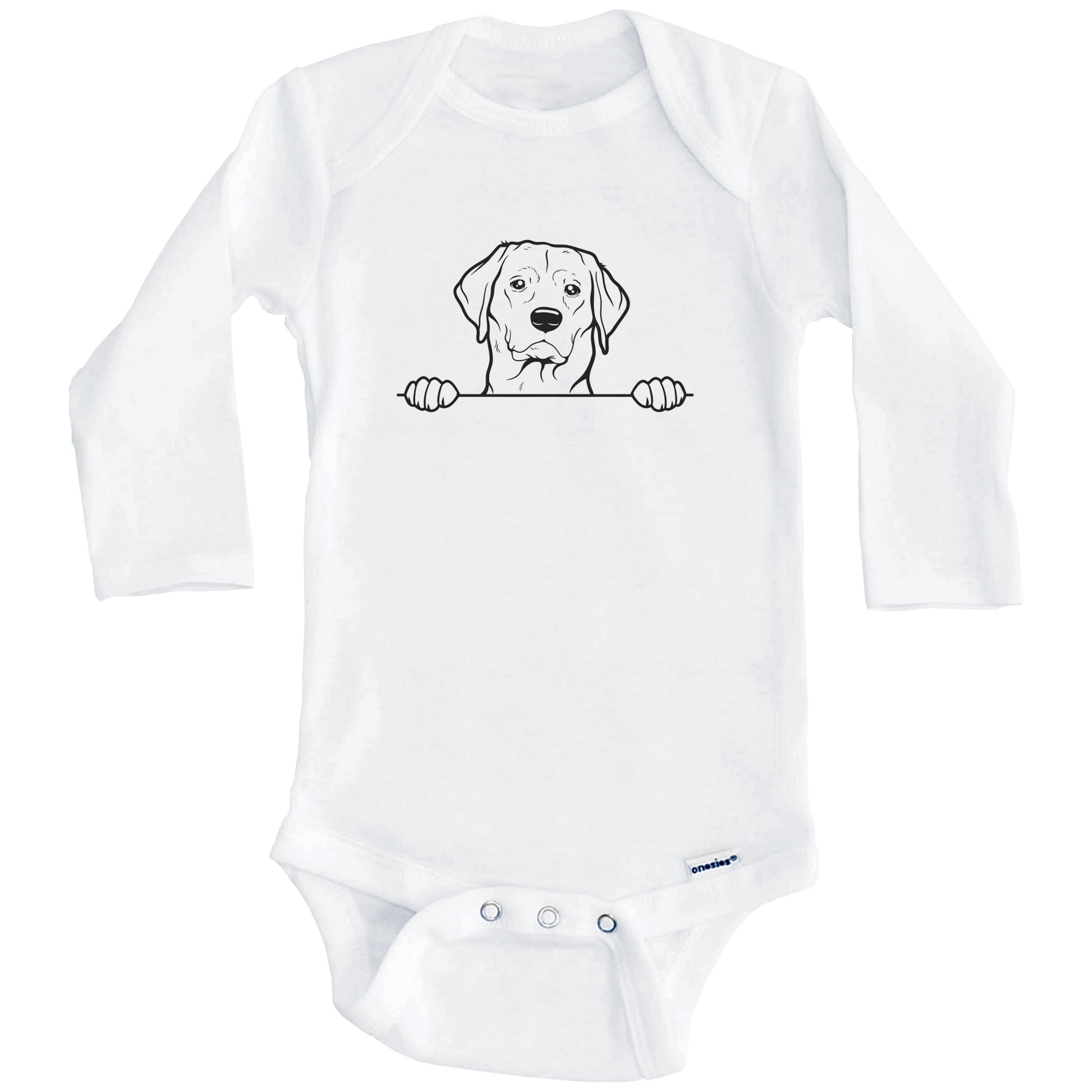Labrador Retriever White Baby